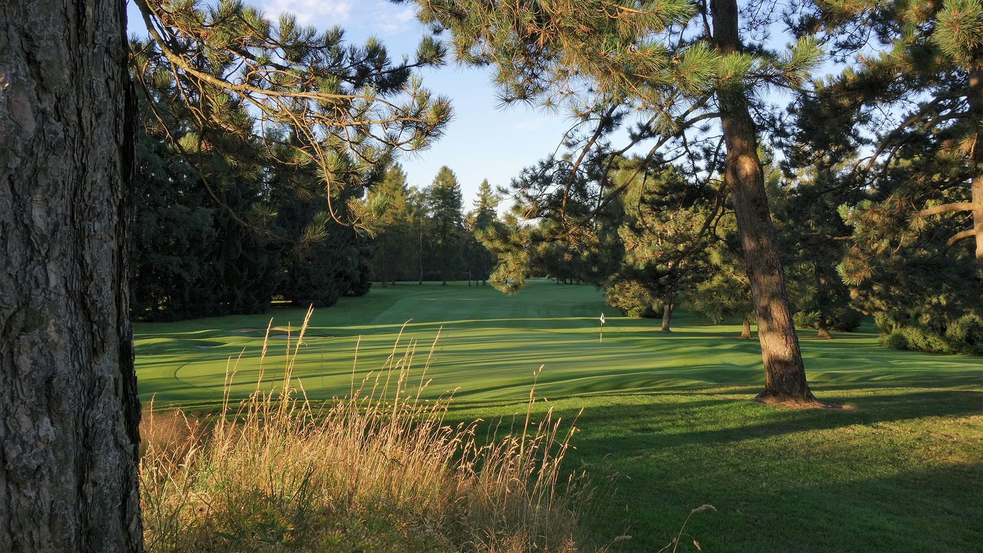 Golf Club de Lausanne - Membership